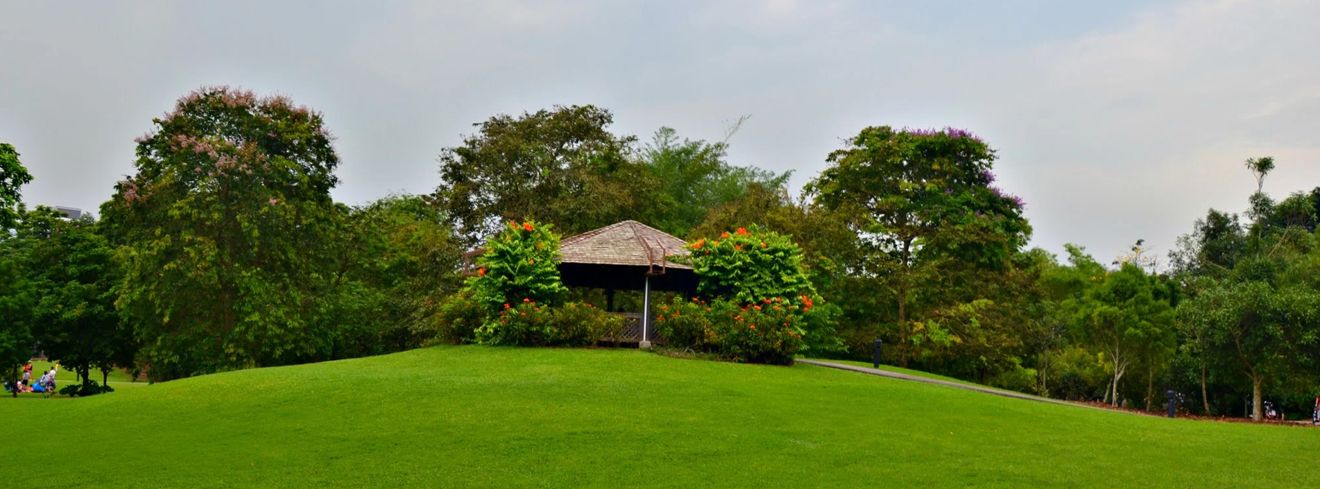 Visit Singapore Botanic Gardens: Free Entry, Timings & Orchid Garden Info
